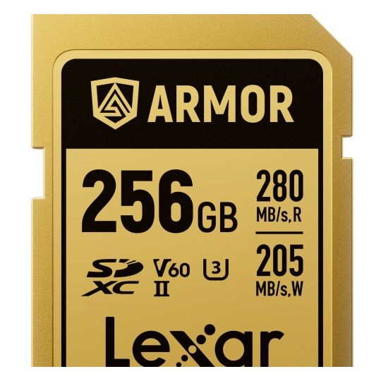 Lexar GOLD Armor 256 Go SD | Stockage Pro Rapide et Fiable